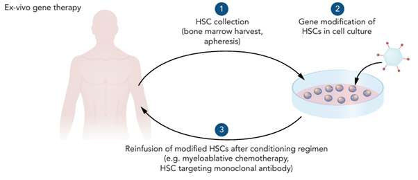 대한진단혈액학회 Newsletter