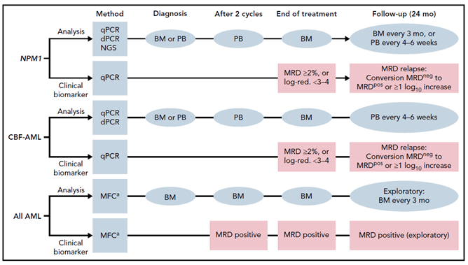 대한진단혈액학회 Newsletter